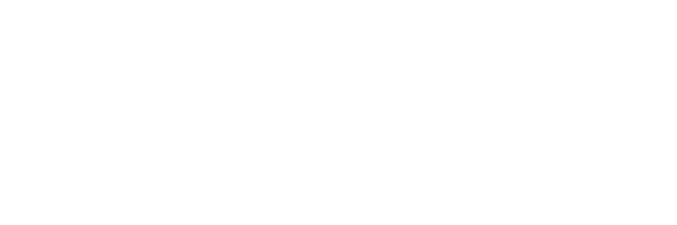 PM84 - Point Mobile Africa